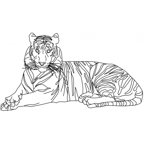 Tiger Malvorlagen Zum Ausdrucken Ausmalbild: Realistischer Tiger